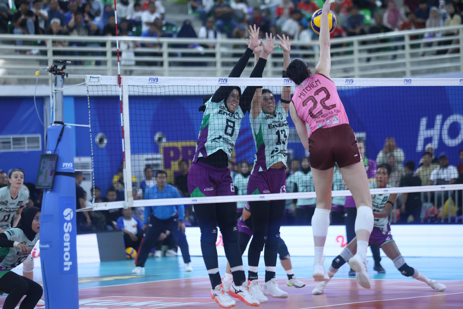 Phonska Plus Tumbangkan Sang Juara Bertahan 3-1 - Proliga 2026